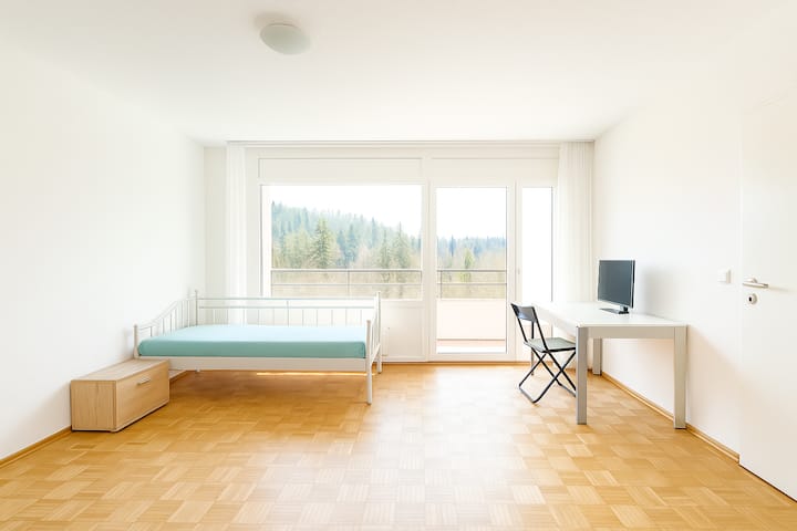 3-zimmer-apartment 36 - Lahr