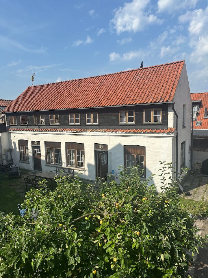 Stort Hus För Hela Familjen I Centrala Visby - Visby