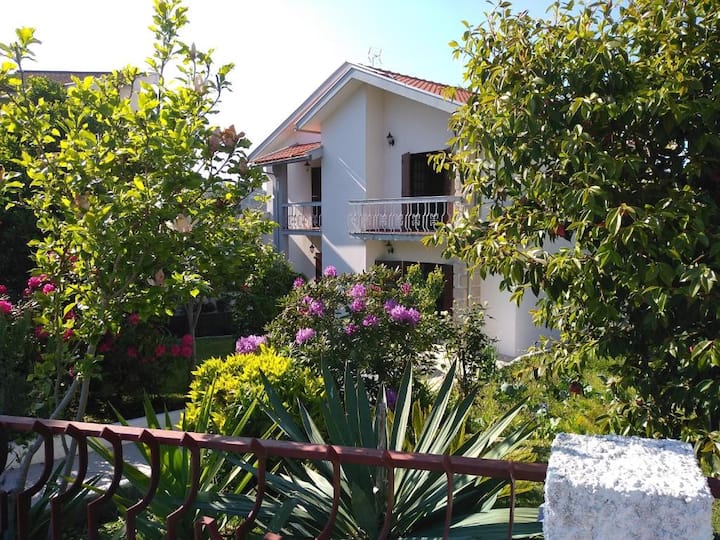 Casa Da Piedade, Vouzela - Vouzela