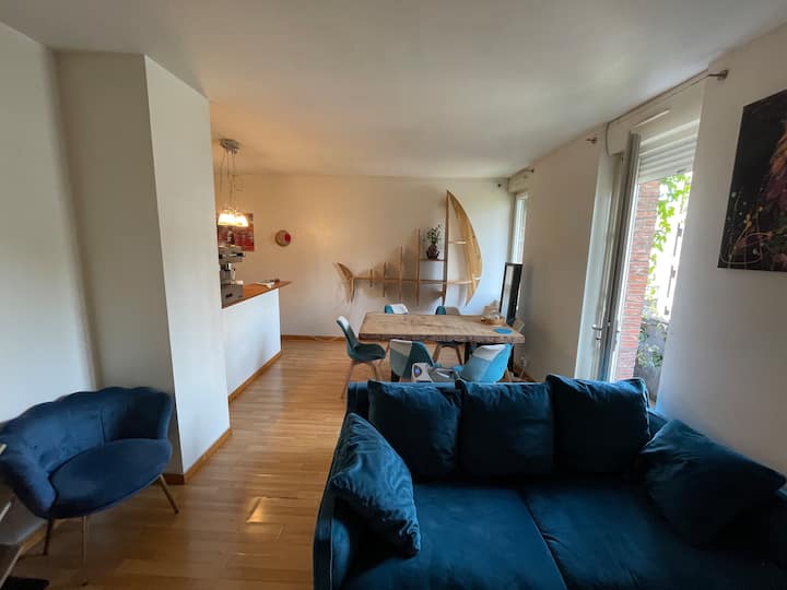 Bel Appartement Lumineux - 圖盧茲