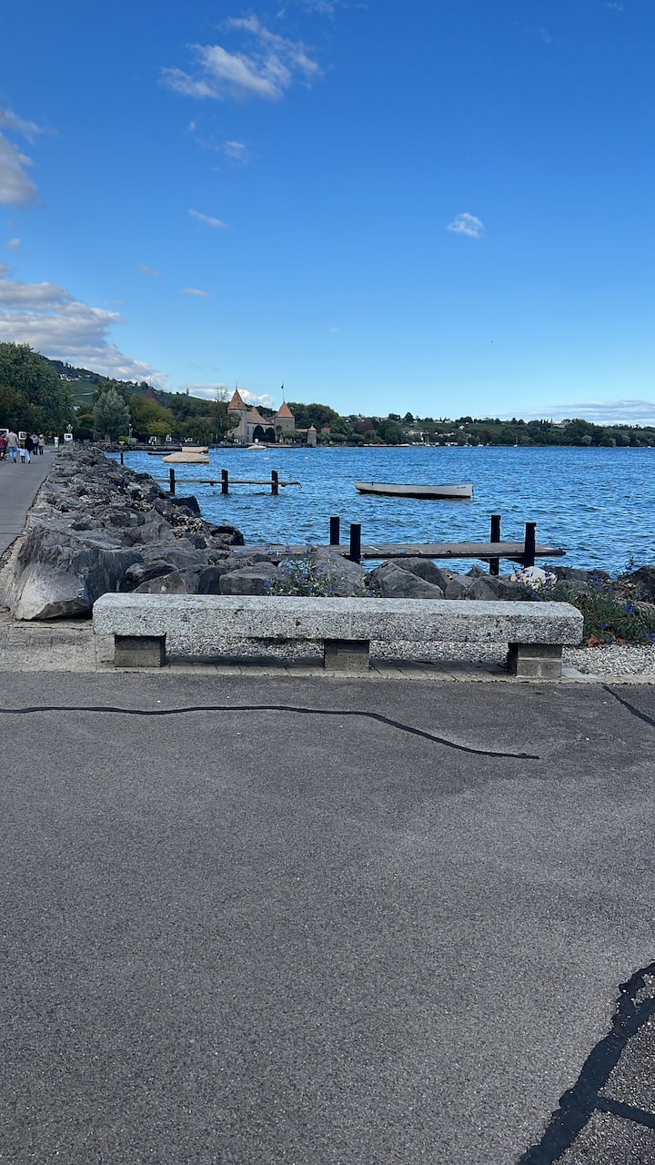 Room In Lovely Place Near Geneva Lake - Versoix