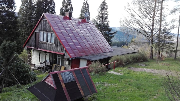 Obłędny Domek - Białka