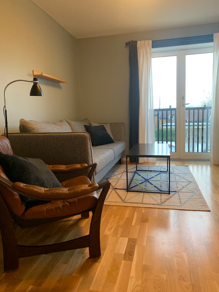 Lys Leil Sentralt På Byåsen - Trondheim