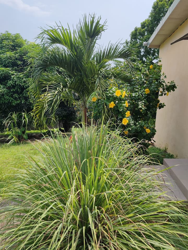 Logement Entier 2 Chambres - Libreville - Gabon - Libreville