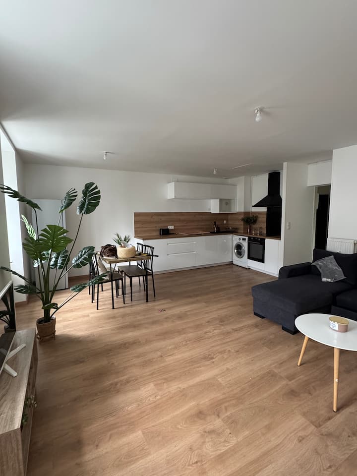 T3 Rénové Et Chaleureux Proche Centre-ville - Saint-Barthélemy-d'Anjou