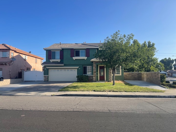 Close To Everything - 棕櫚谷