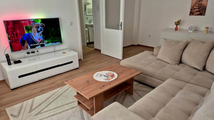 Very Warm Apartment 2.5 Km From The Center - Sarajevo