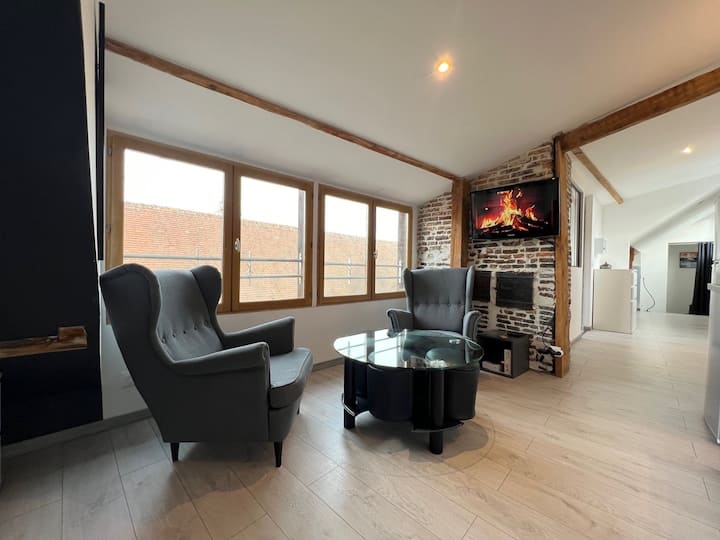 Appartement Le Bellevue - Dole
