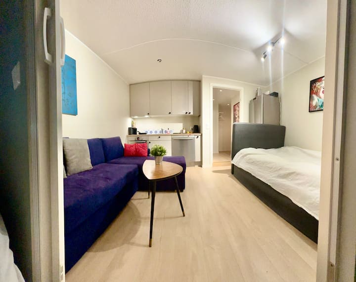 Delux Smart Hjem Central Oslo - Oslo