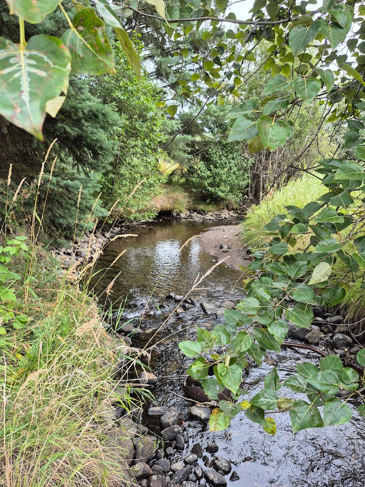 Creekside Suite - Smithers