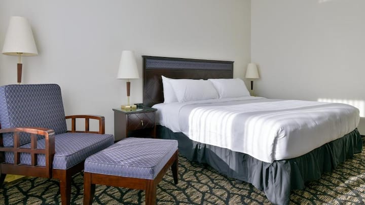 Queen Room In Downtown Hotel - Montreal