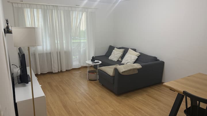 Gmütliche Wohnung Für Esaf! - Kanton Glarus