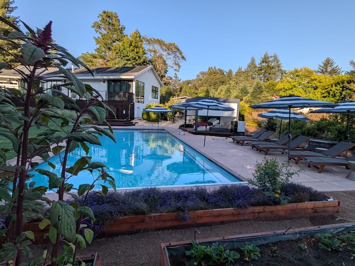 Modern Resort Style Home - Sebastopol, CA