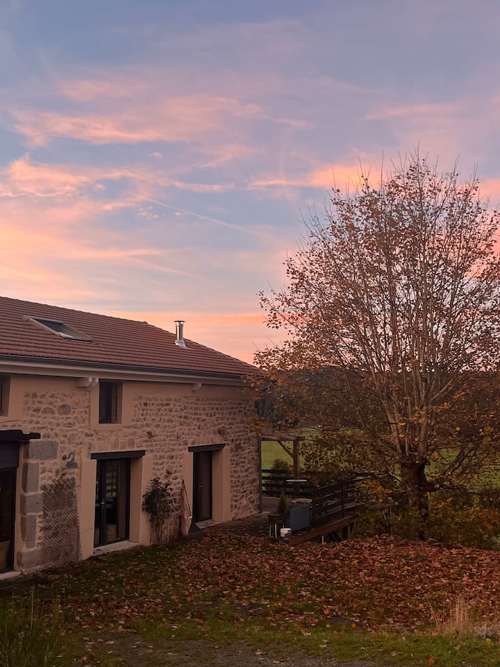 Maison De Forêts | Parc Du Pilat | 10-12 Personnes - Saint-Étienne