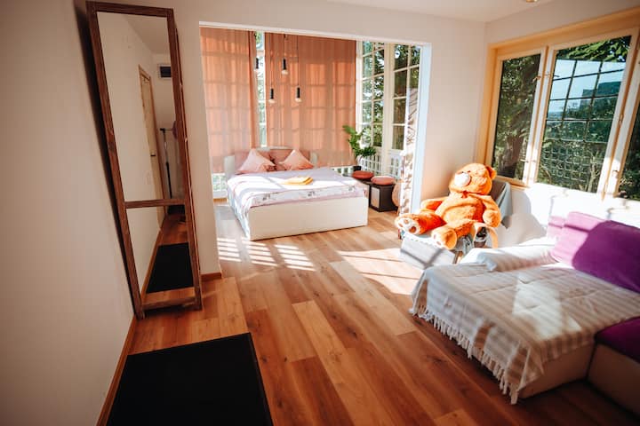 Oasis In The City - Cluj-Napoca