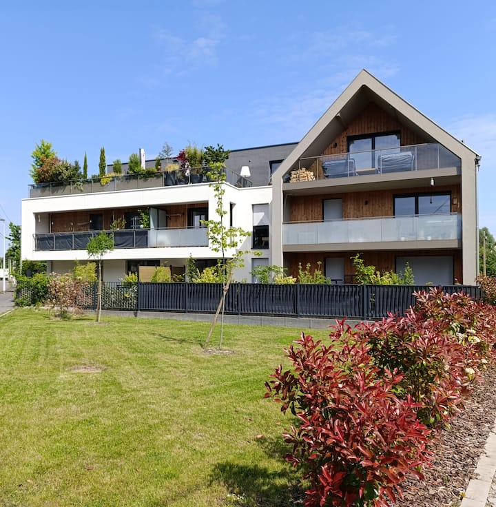 Chambre/strasbourg/jacuzzi - Schiltigheim