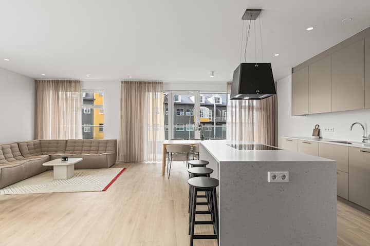 Northen Light Lux 3br/2ba With Free Parking - Reykjavik