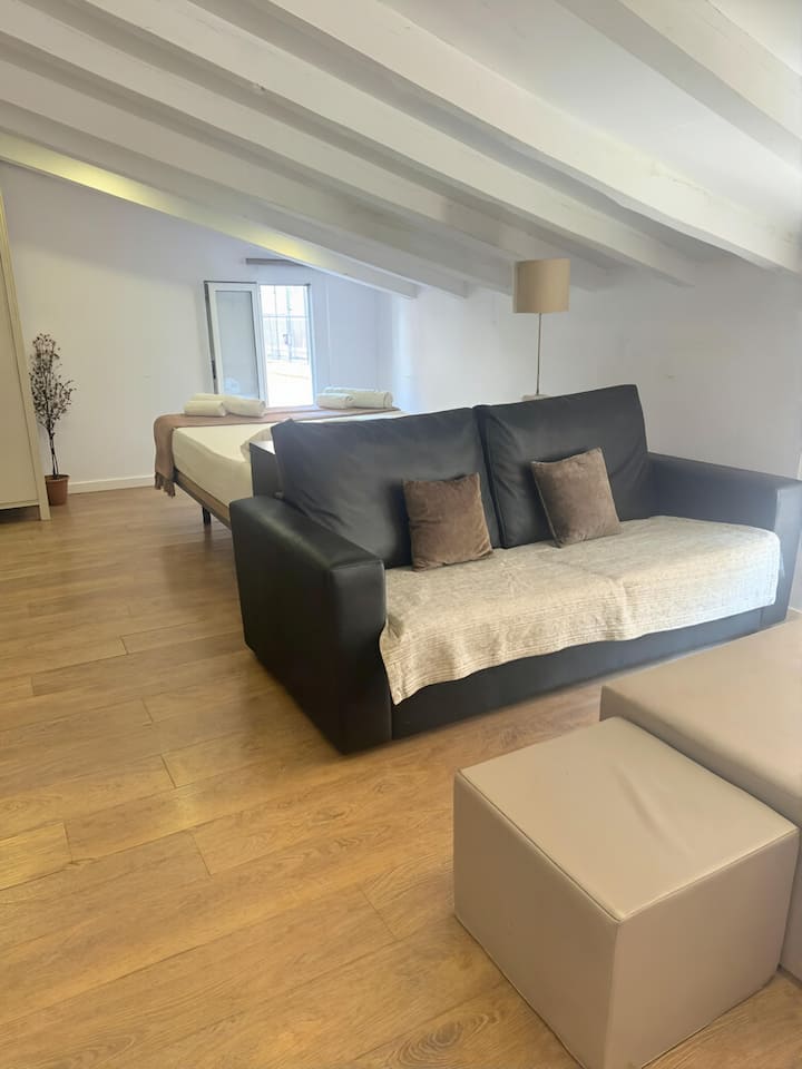 Loft Con Terraza - Valencia