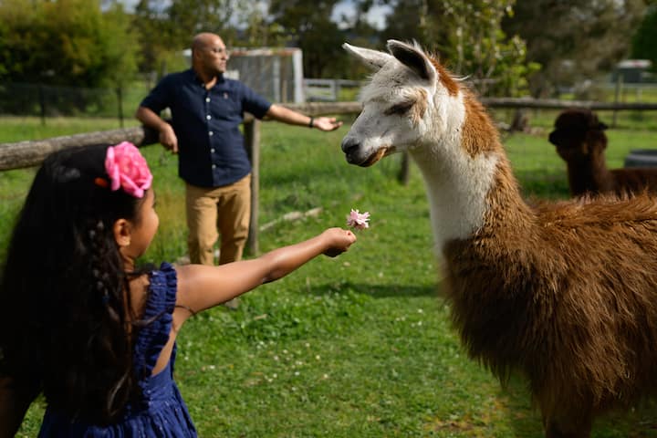 Tuscan Farmhouse - Country Farm Retreat - Australia