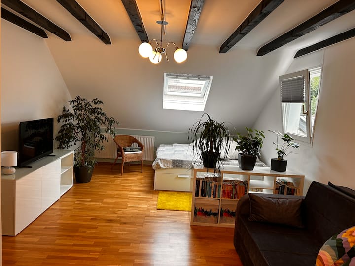Stilvolles Apartment - Engelskirchen