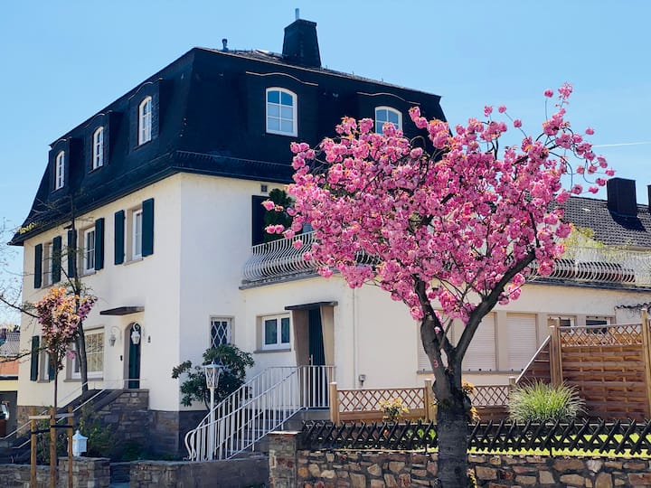 Appartment Sunrise In Geisenheim - Bingen am Rhein