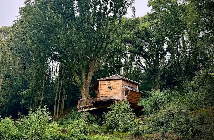 Cabane Dans Les Arbres - Le Faou