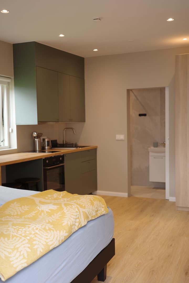 Quiet Downtown Reykjavík Studio - Reykjavik