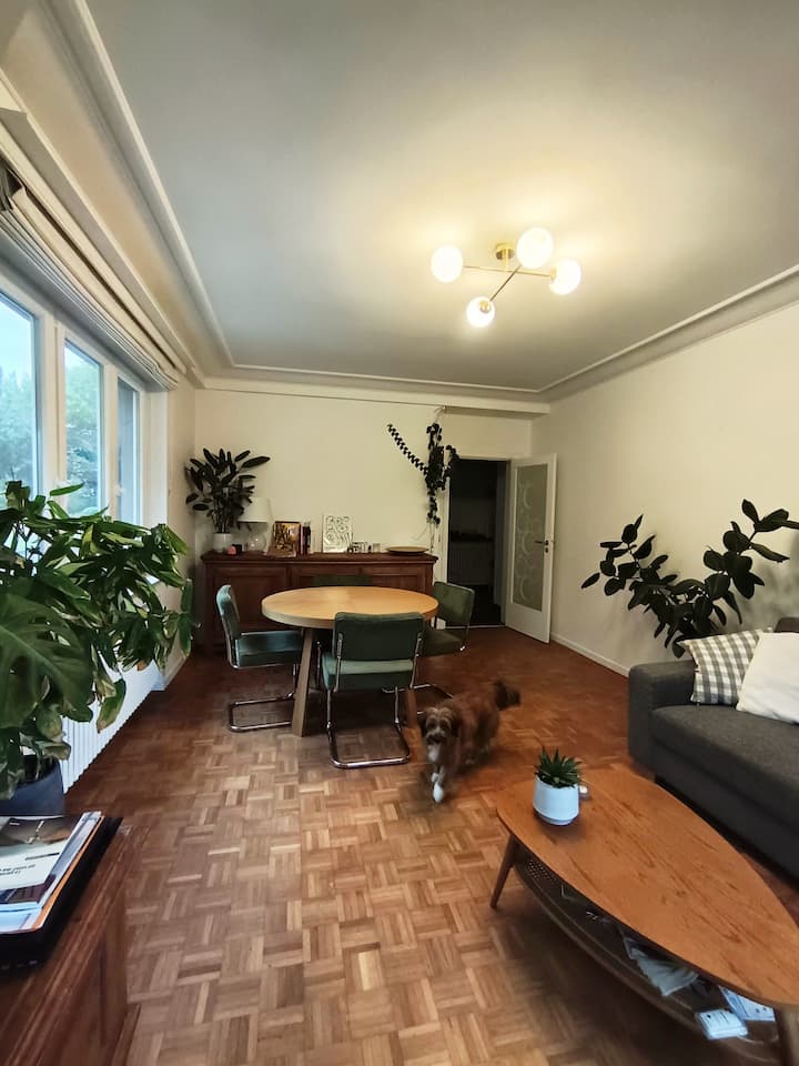 Appartement Schaerbeek - Bryssel