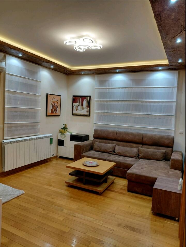 Mountain Centre Apartment "Vasi" - Zlatibor