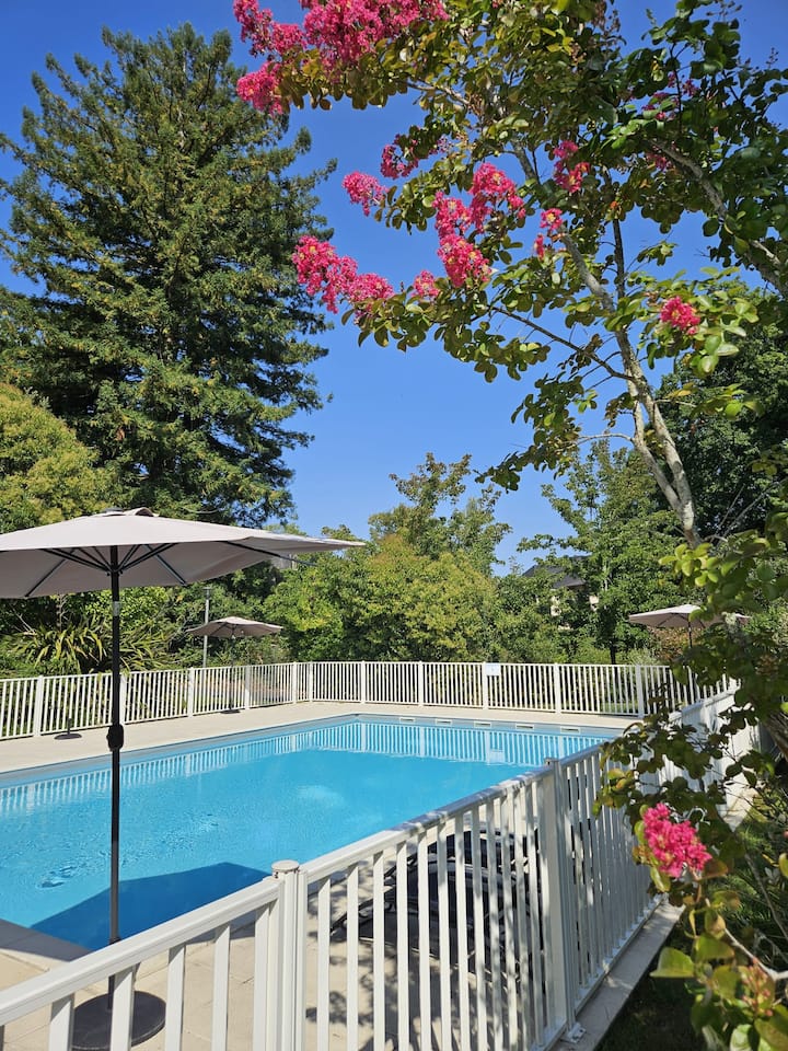 Studio à 2 Pas Des Thermes- Résidence Avec Piscine - Salies-de-Béarn