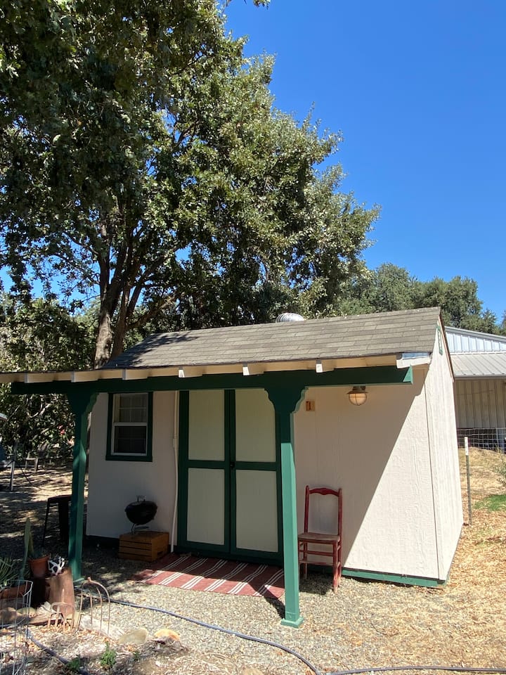 Cabin 1 At Nopal Studio - Frog Pond, Clearlake Oaks