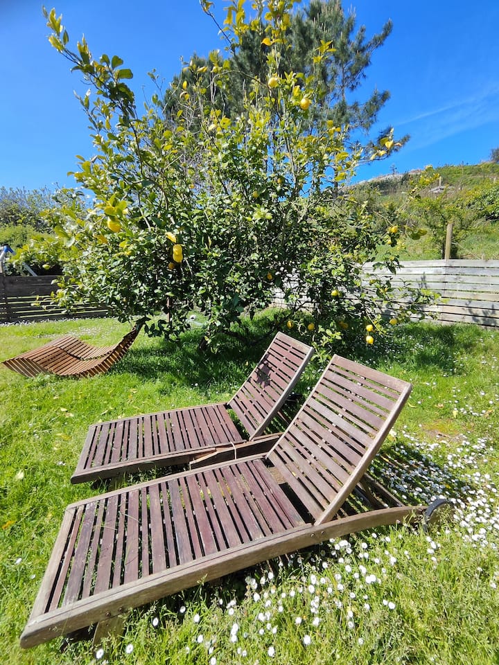 Casa Limón Extra Habitaciones - Burela