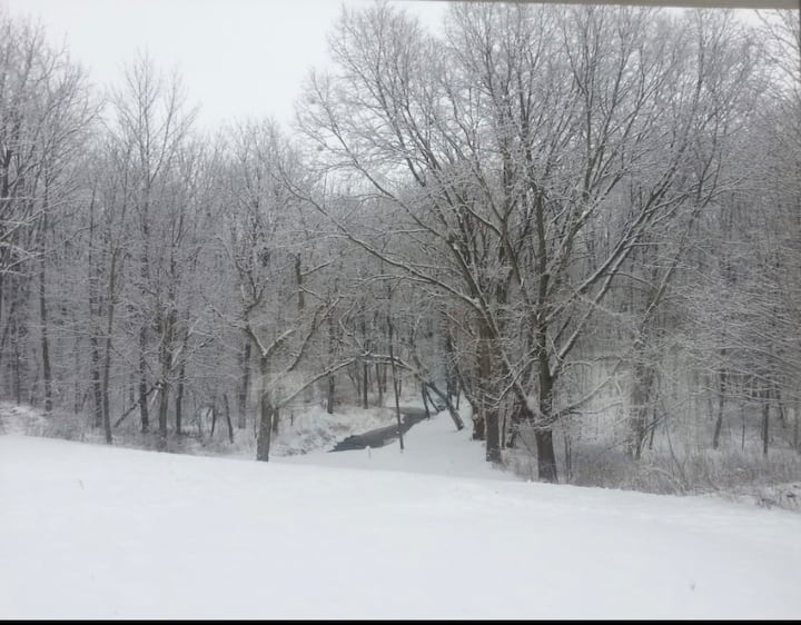 Private Cottage Surrounded By Nature- Pet Friendly - Crestline, OH