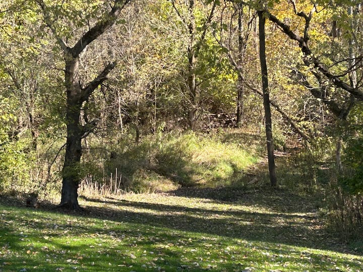 Cottage By The Creek-relaxing Getaway With Nature - Crestline, OH