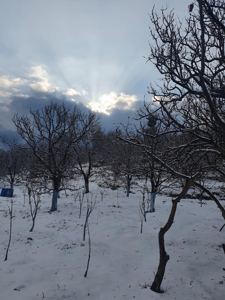 Its Going To Be Your Basera Soon - Narkanda