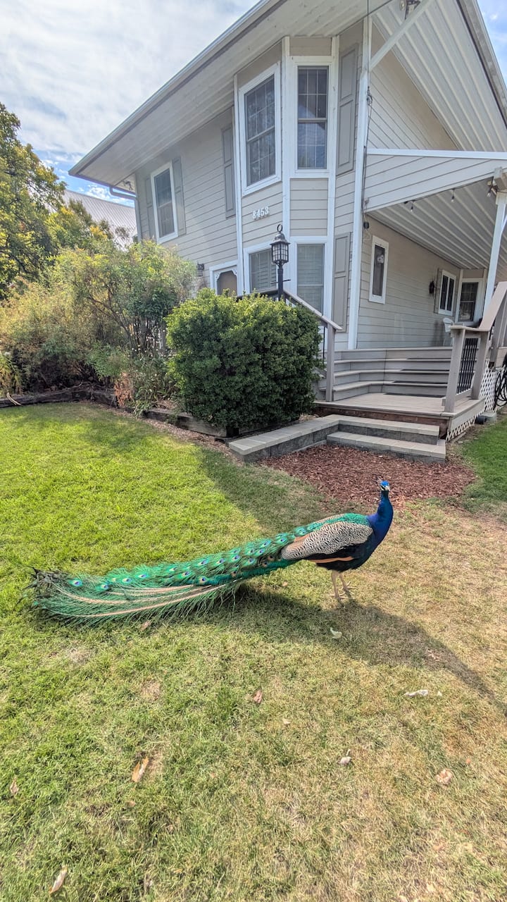 Boho Farmhouse In Historic Gold Country Village - Sutter Creek, CA