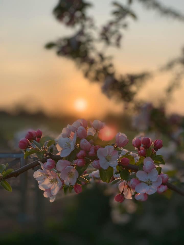 The Perfect Country Get Away - Totnes