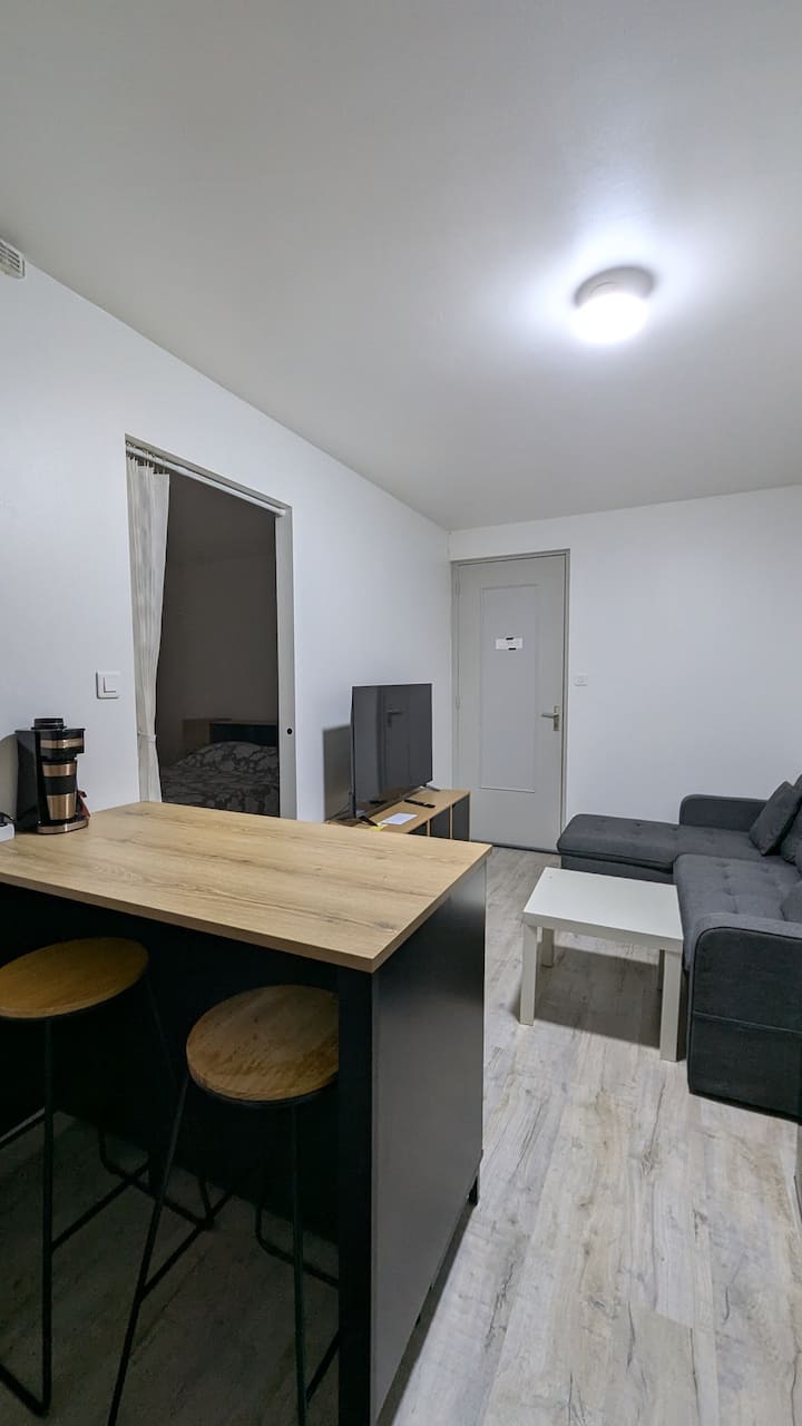 T2, Centre, Petit Balcon N°103 - Montbrison