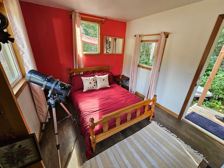 Root: Tiny House – I Am Grounded - Schafer State Park, Elma