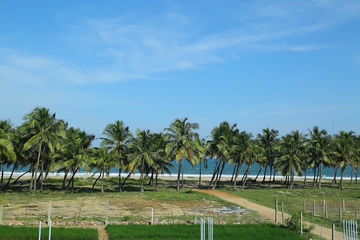 Seawave Beach Resort - Cuddalore