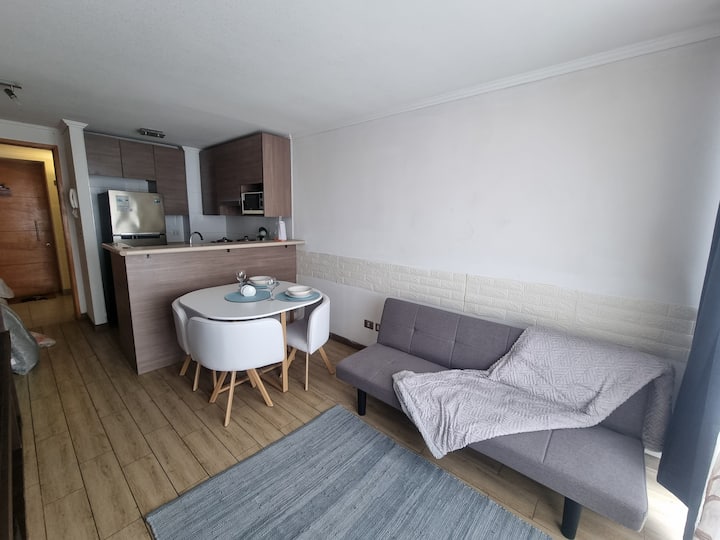 Arriendo Por Día De Departamento - Iquique