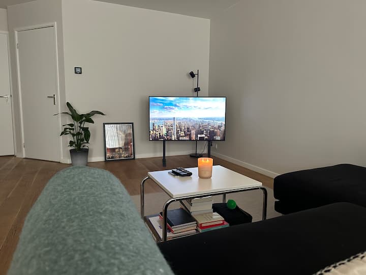 Newly Renovated • Light & Quiet - Diemen