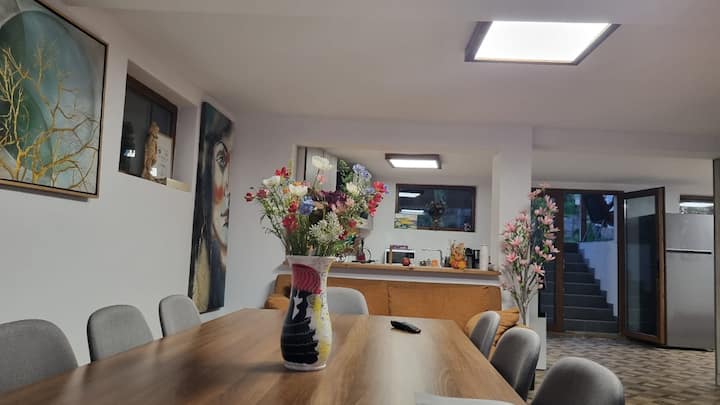 Casa De Sub Brazi Din Fantanele - Transylvania