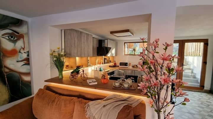 Casa De Sub Brazi Relaxare La Munte Cu Ciubar - Apoldu de Jos