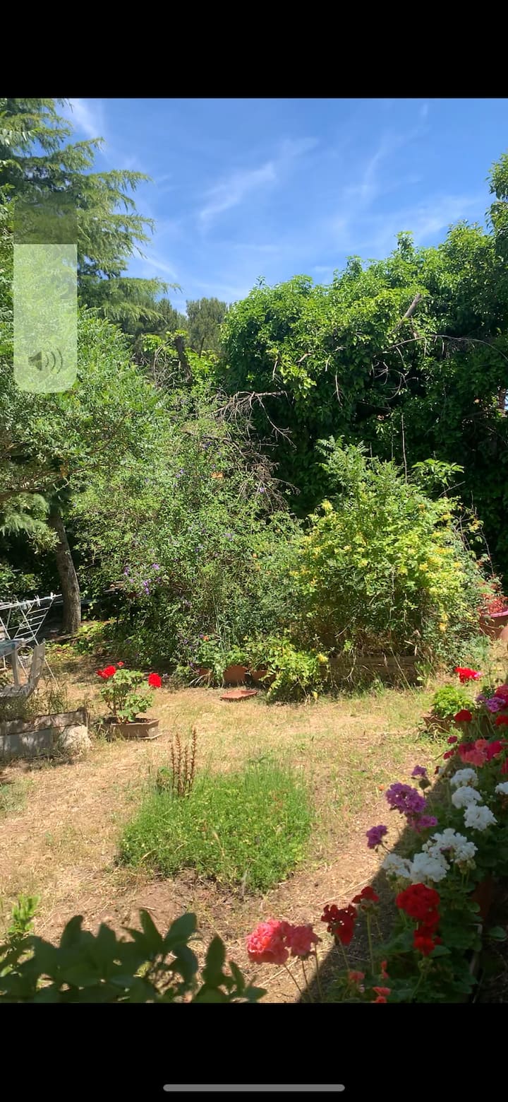 Studio Avec Jardin - Saint-Aunès