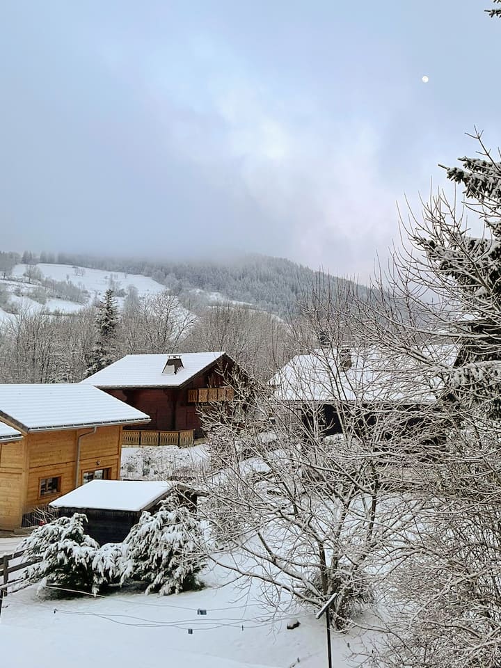 L' Etoile Des Neiges - Bernex