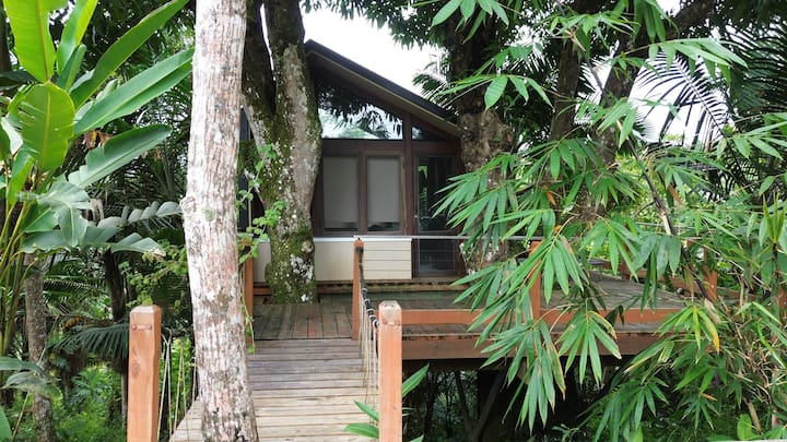 Farm Stay Treehouse: La Casita Del Mango Bajito - Cayey