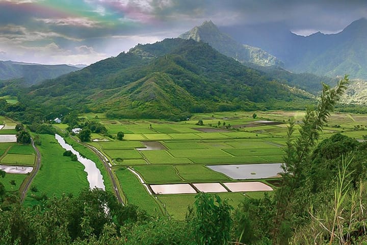 Kauai 3 Bedroom Condo Sleeps 8 - Princeville, HI