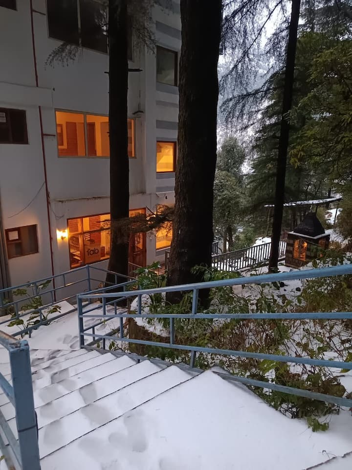 Peace, Mountain, White Water. - Dharamsala