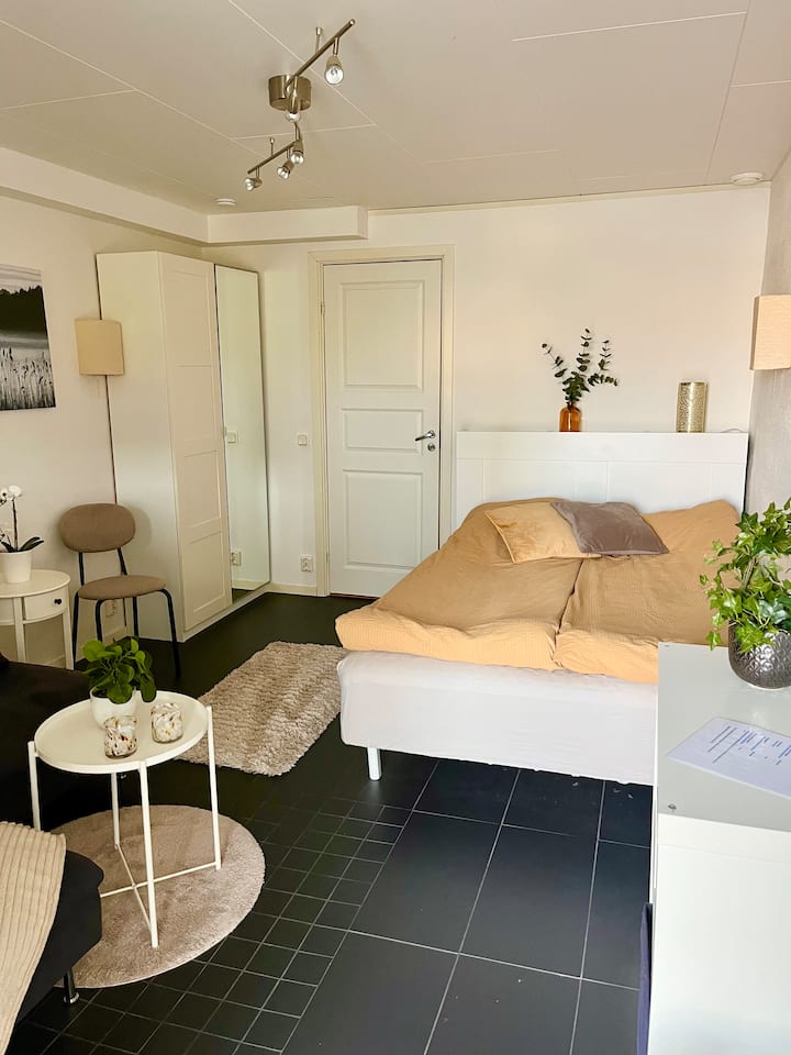 Fräsch Liten Lägenhet - Falkenberg